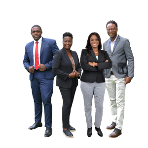 Project Financing - MoneyMasters Limited